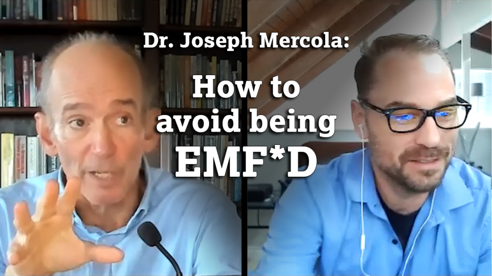 planet manners: Globe: Newsletter from Take Back Your Power. Josh del ...